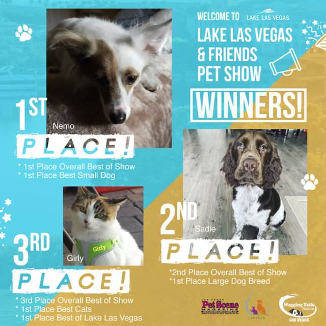 Pet Show - Lake Las Vegas